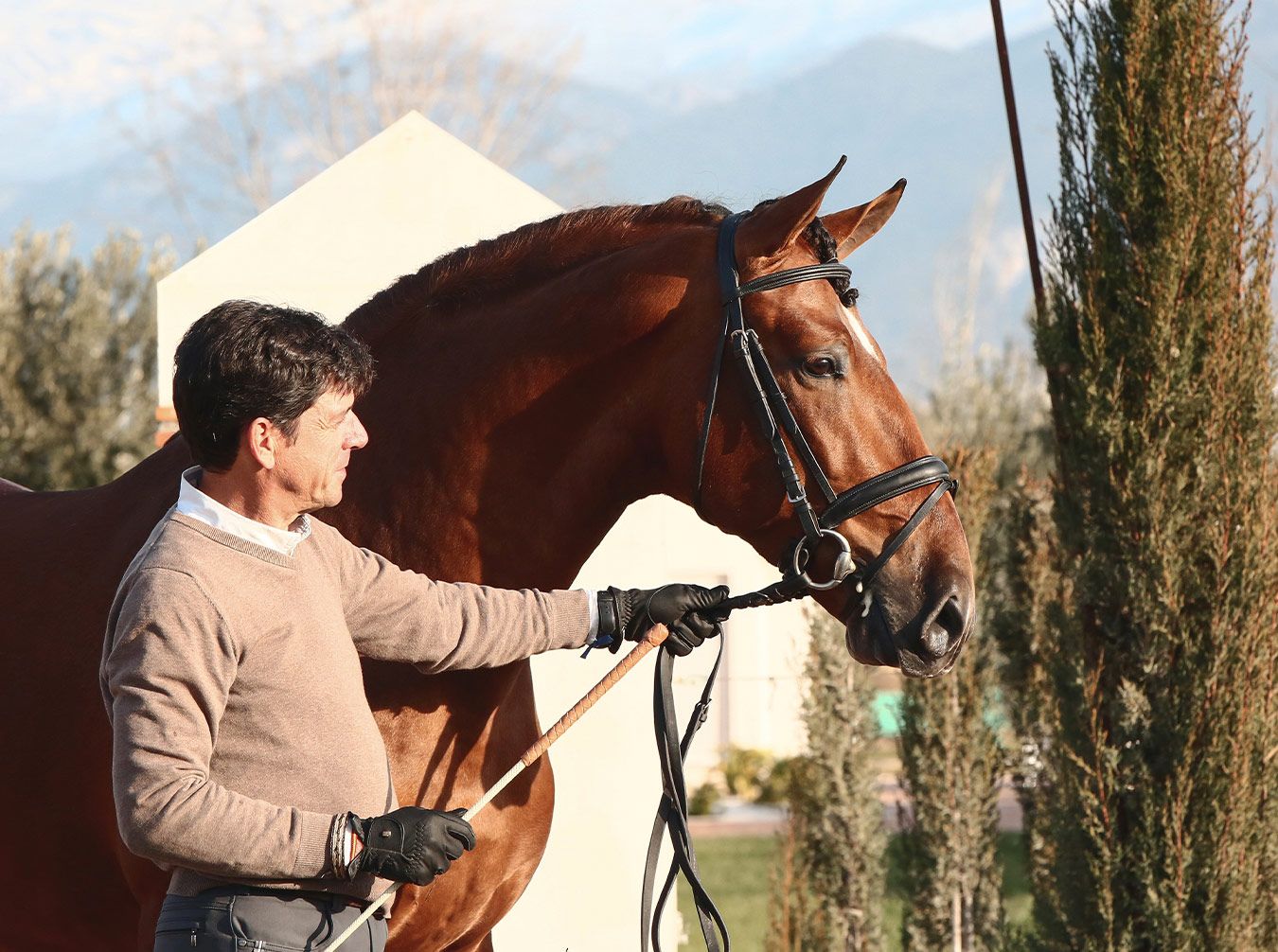 Rafael Ortiz Jinete - Biografía